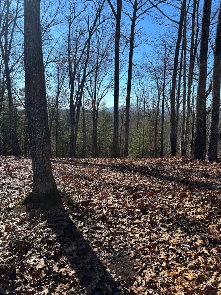 Lot 64 Thundering Hl 64, MURPHY NC Real Estate Listing | exitrealty.com®