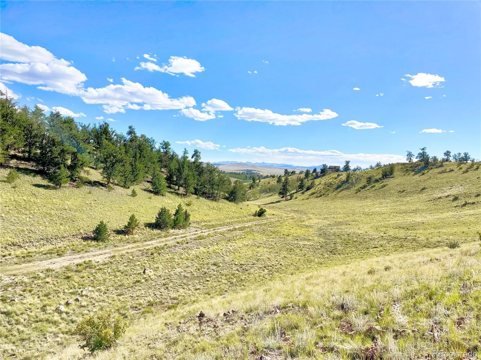 0000 Chickasaw Road, Hartsel, CO 80449 | MLS 8132002 | Listing ...