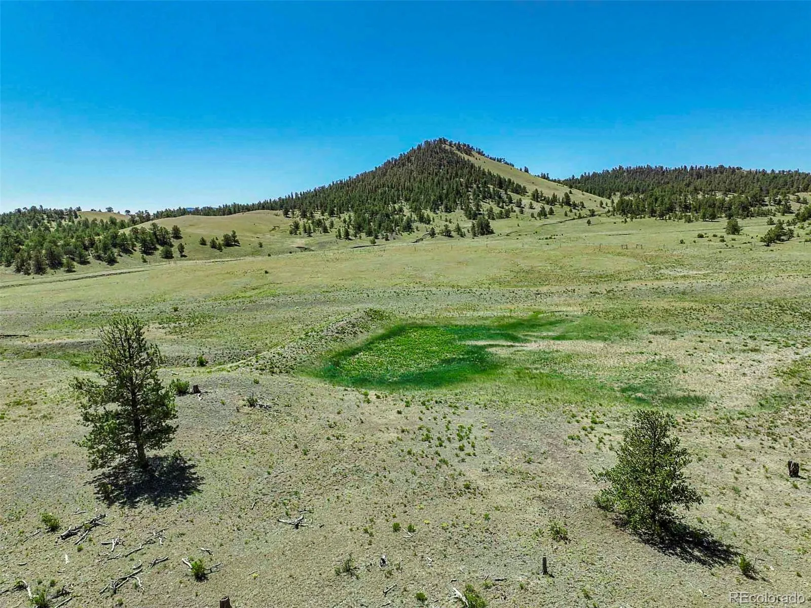 Quail Court, Hartsel, CO 80449 | MLS 2434832 | Listing Information ...