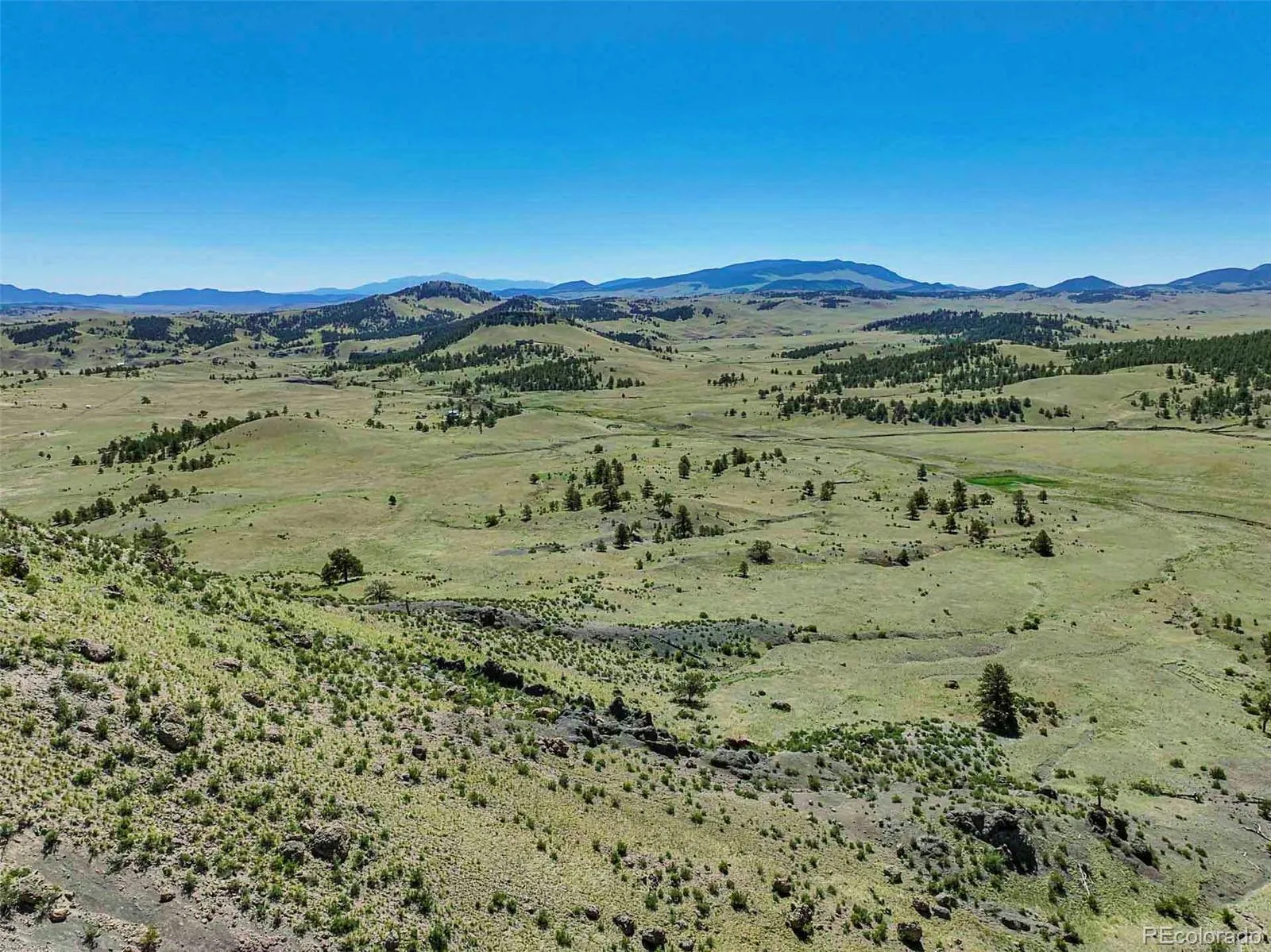 Quail Court, Hartsel, CO 80449 | MLS 2434832 | Listing Information ...