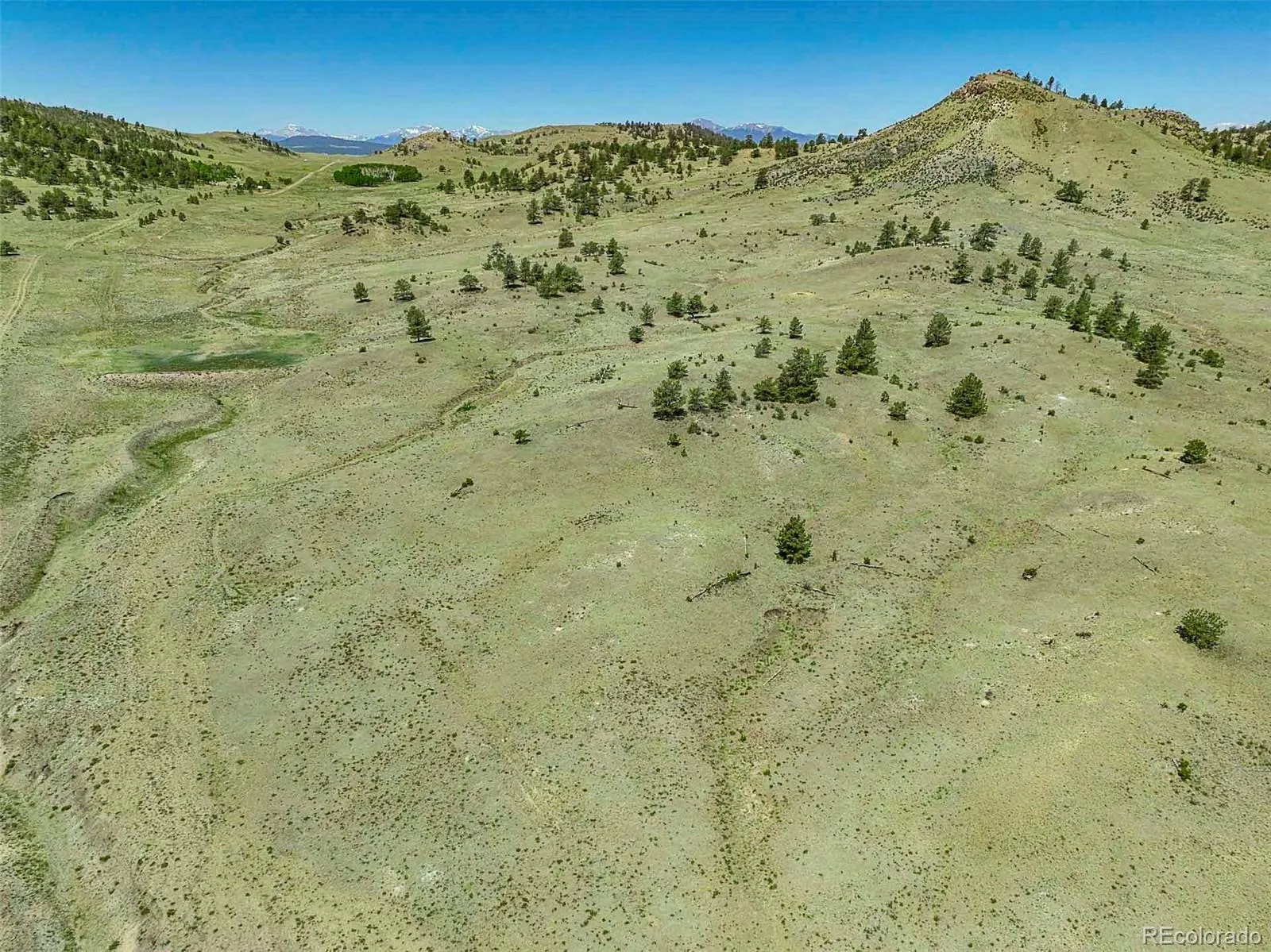 Quail Court, Hartsel, CO 80449 | MLS 2434832 | Listing Information ...