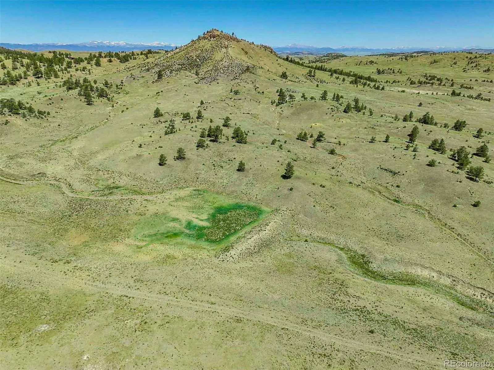 Quail Court, Hartsel, CO 80449 | MLS 2434832 | Listing Information ...