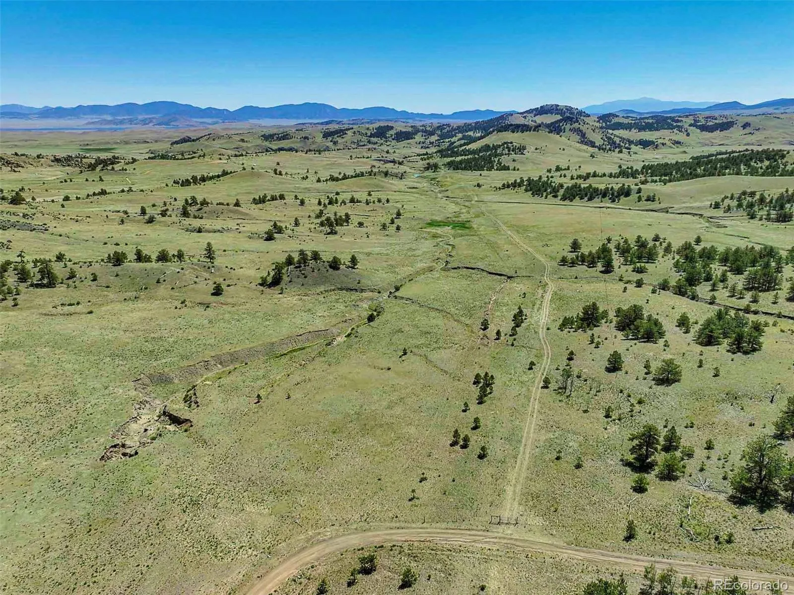 Quail Court, Hartsel, CO 80449 | MLS 2434832 | Listing Information ...