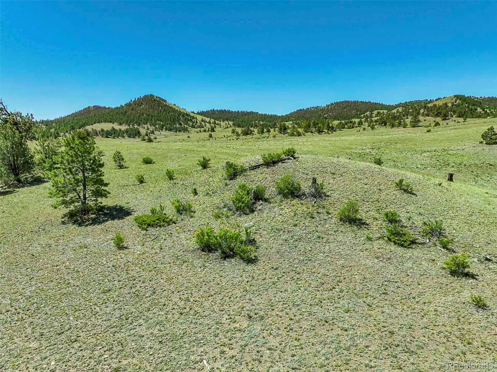 Quail Court, Hartsel, CO 80449 | MLS 2434832 | Listing Information ...