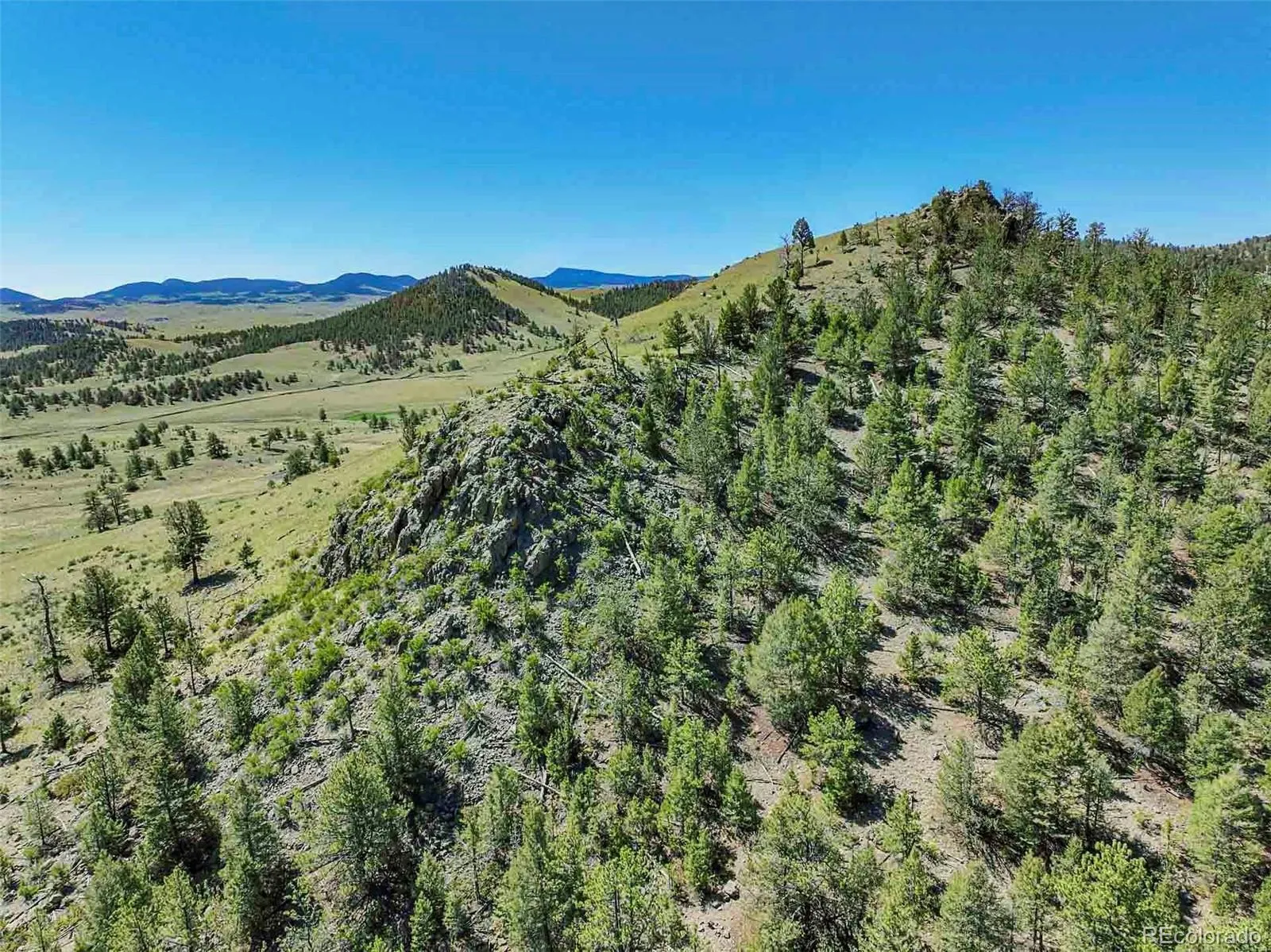 Quail Court, Hartsel, CO 80449 | MLS 2434832 | Listing Information ...