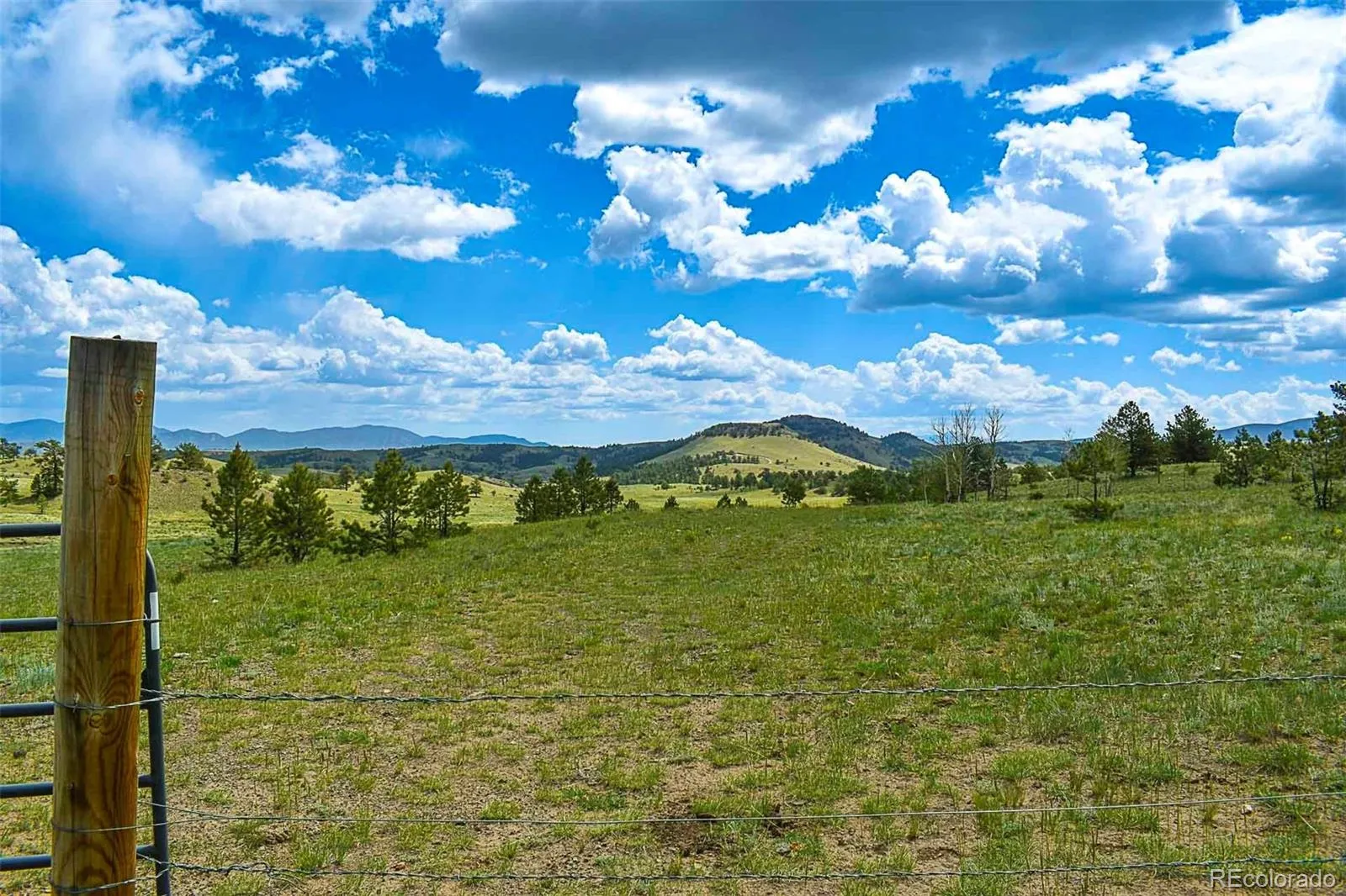 Quail Court, Hartsel, CO 80449 | MLS 2434832 | Listing Information ...