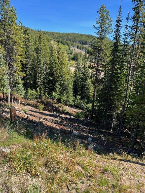 Wapiti Creek Road Oliver | Land for Sale in Oliver | 10364161 | rennie