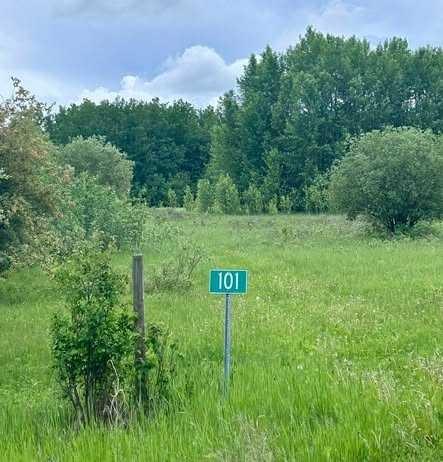 101-67080 MISSION RD, LAC LA BICHE, AB T0A 2C0 Land For Sale | REMAX ...