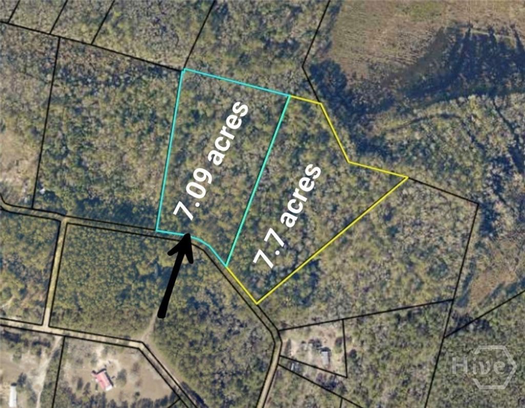 0 Hillside Dr - 7.09 acres Drive, Claxton, GA 30417, MLS #SA341265 ...