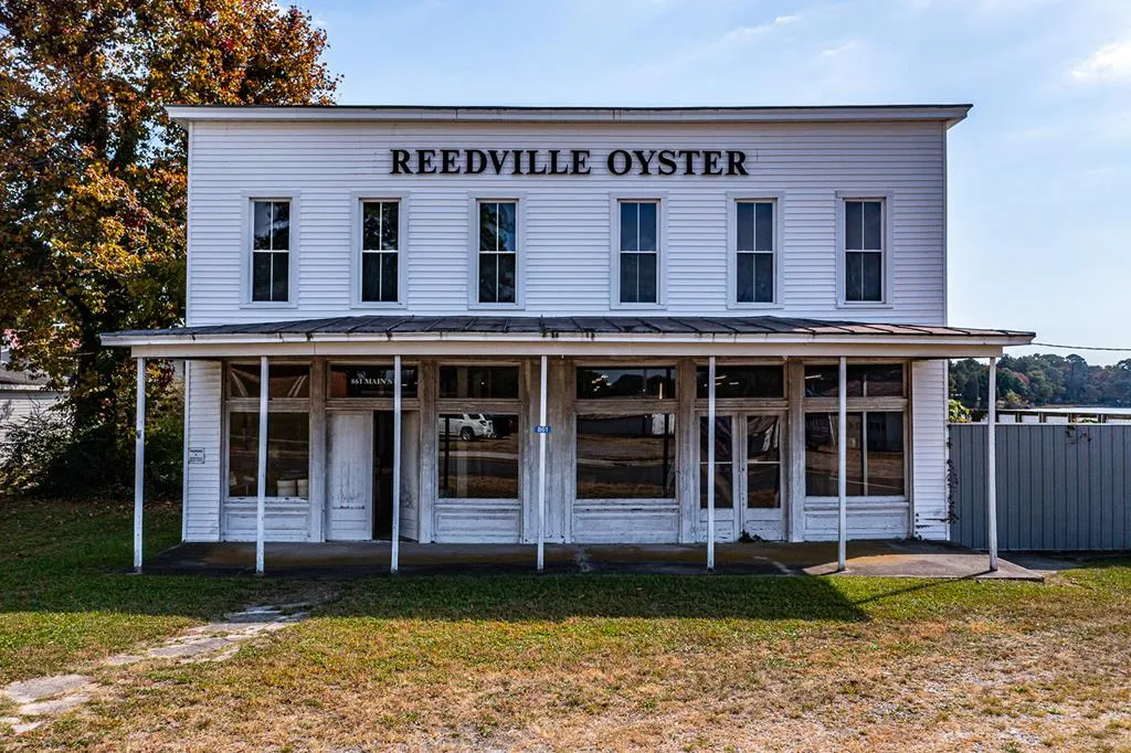 593781575.jpeg?format=webp