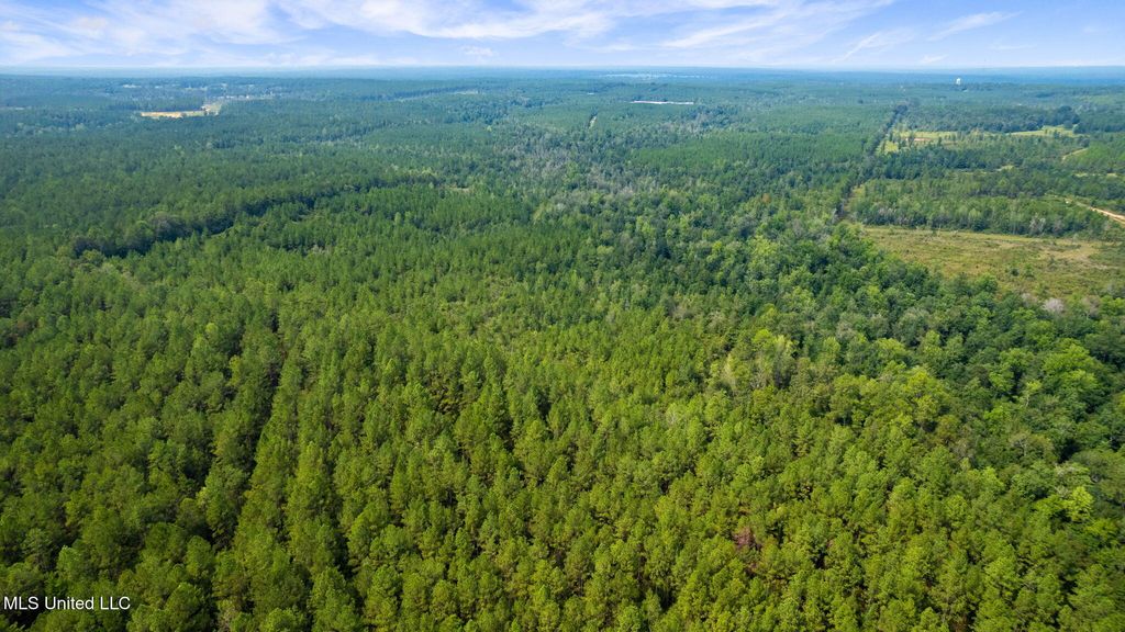 Rockhill To Lumberton Road, Purvis, MS 39475 | MLS 4134914 | Listing ...