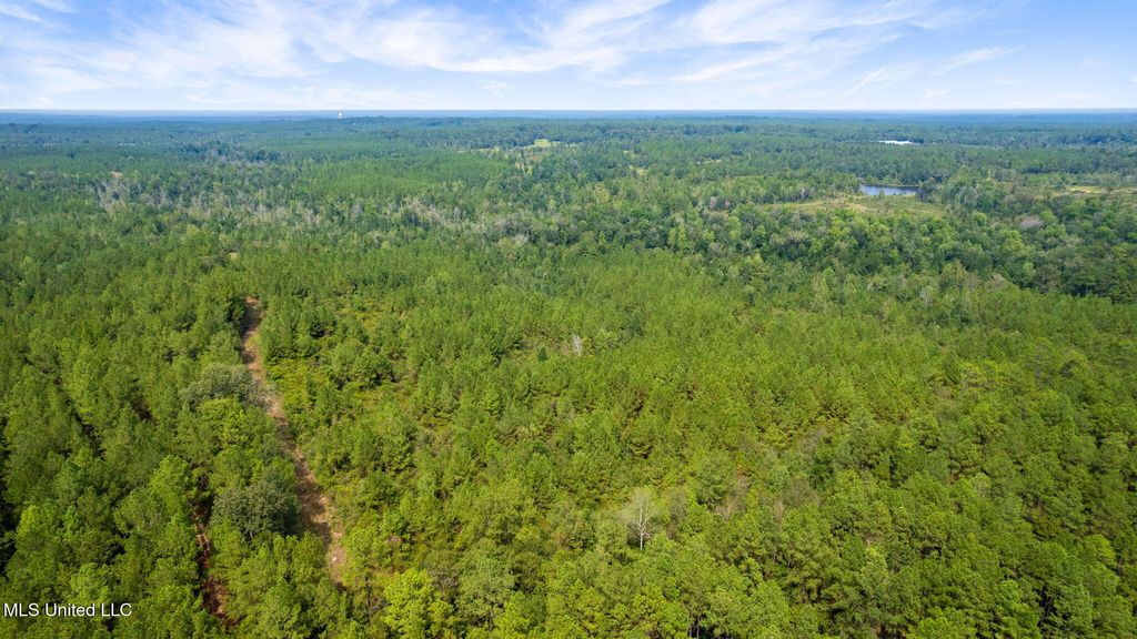 Rockhill To Lumberton Road, Purvis, MS 39475 | MLS 4134914 | Listing ...