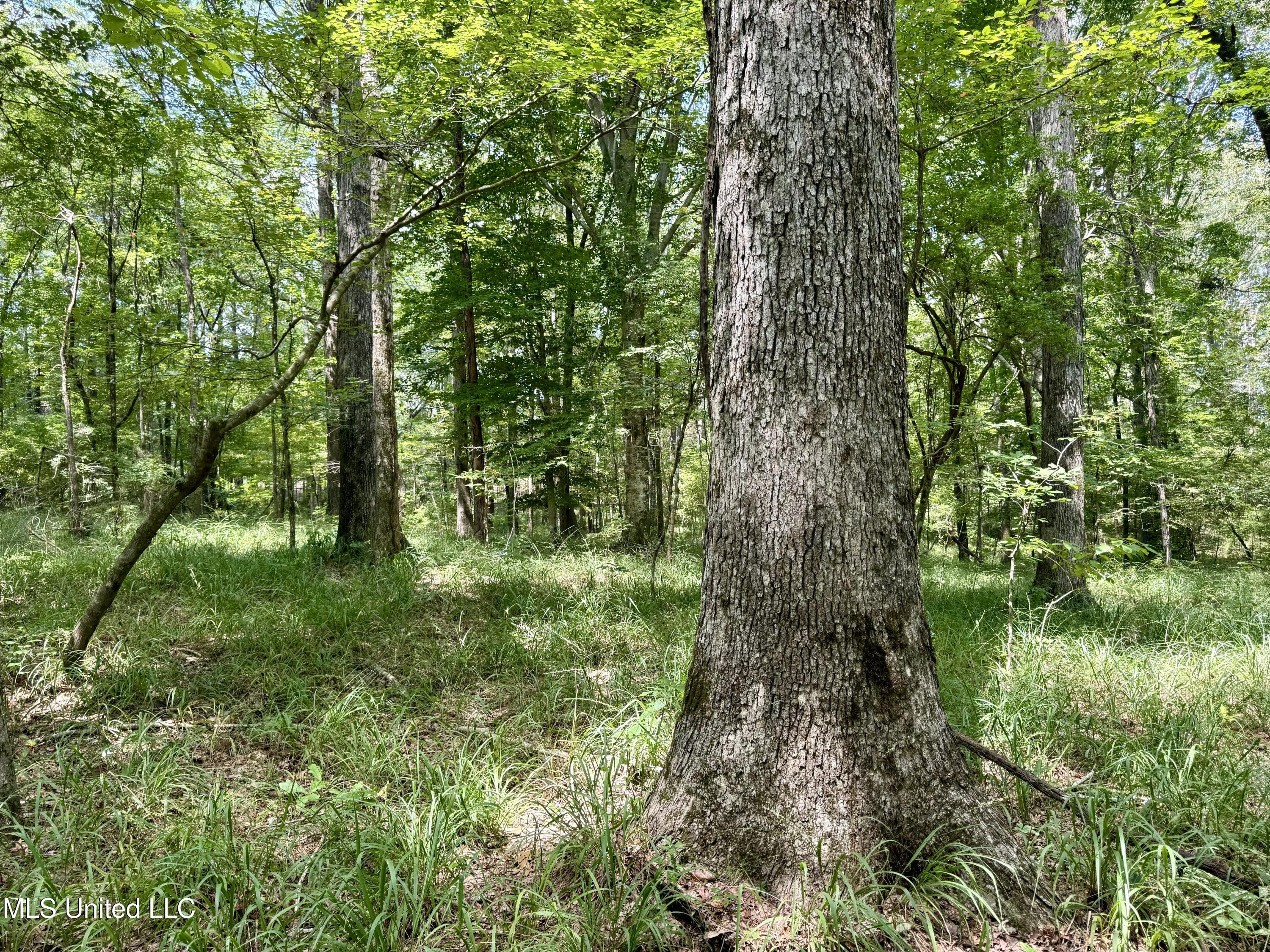 00006 Old Red Star Road, Wesson, MS 39191 | MLS 4128836 | Listing ...