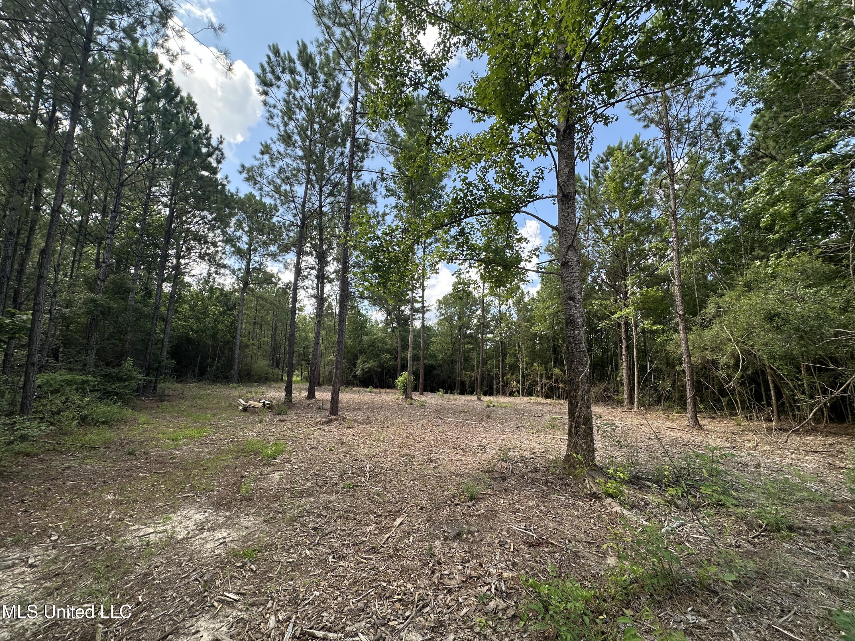 Land For Sale Vancleave Ms