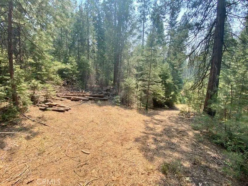 7150 Snyder Creek Drive, Mariposa, CA 95338 | MP21172223 | Nestfully