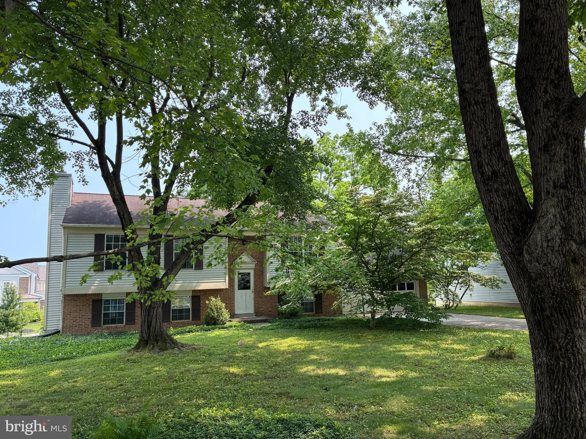 1107050211.jpeg?format=webp