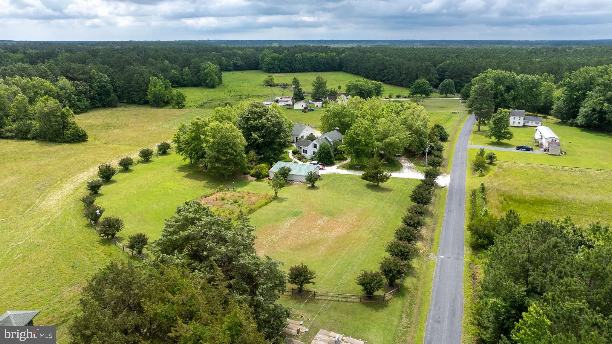 246383366.jpeg?format=webp