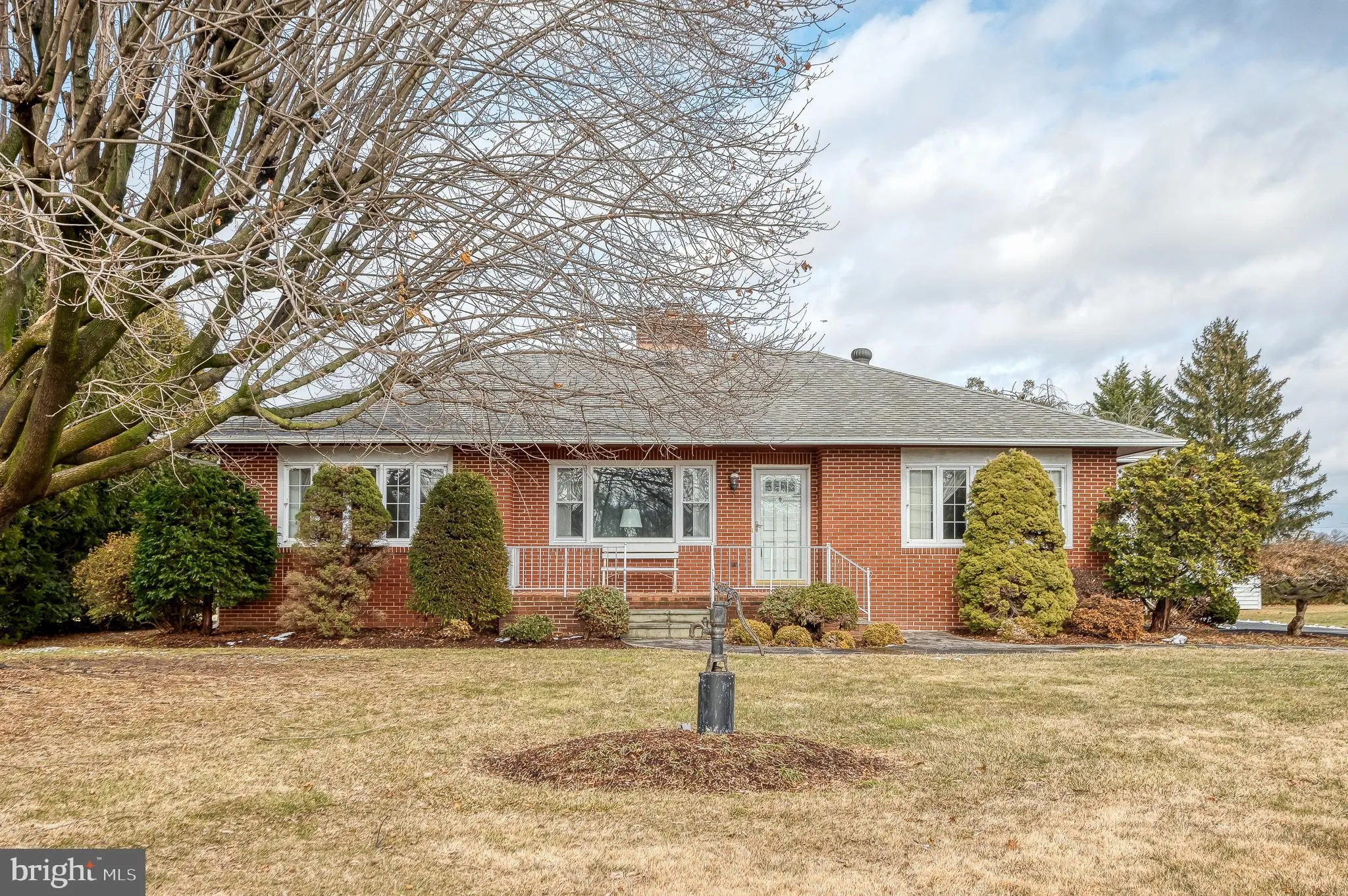 4002532565.jpeg?format=webp