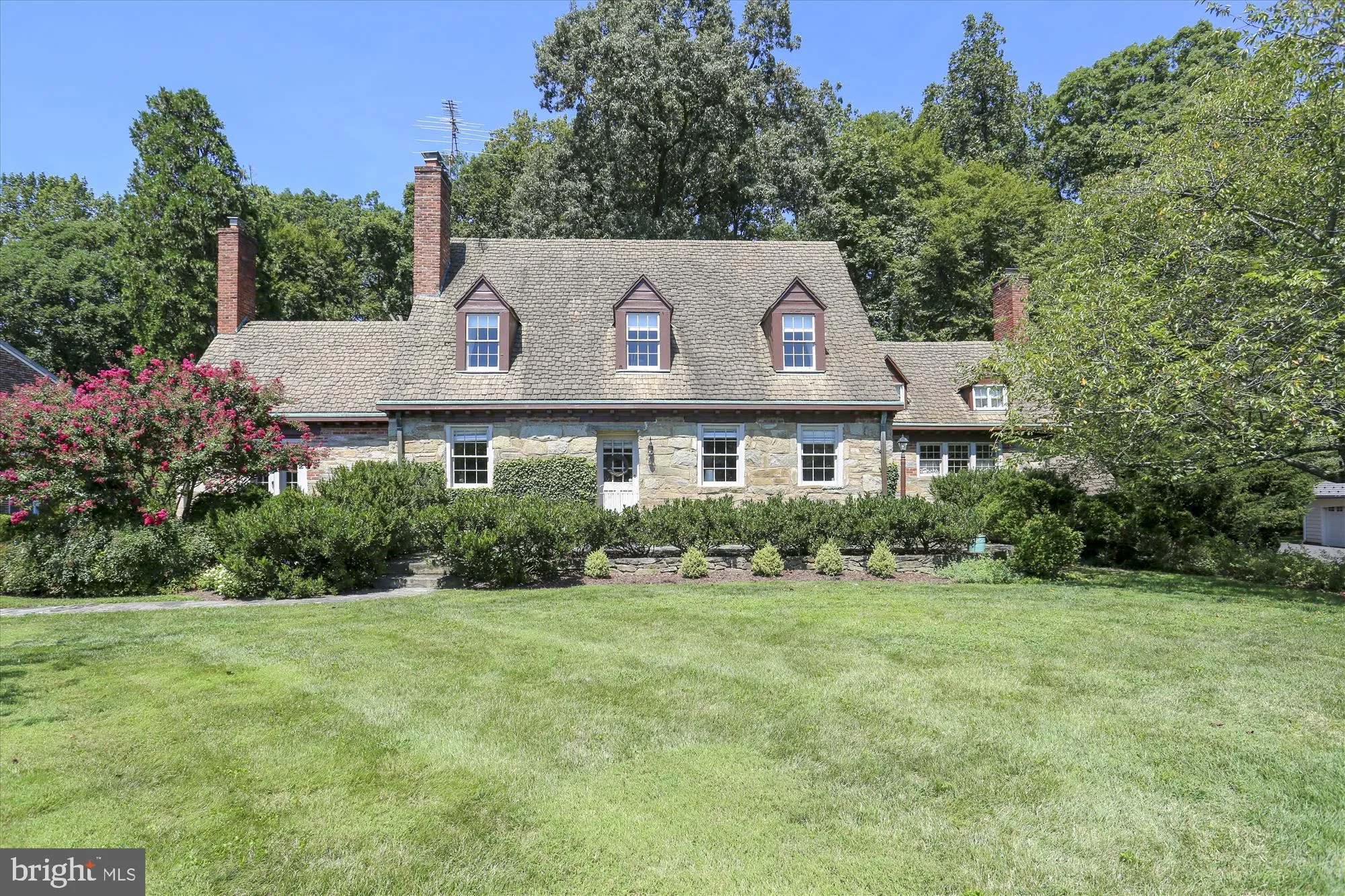 4035158018.jpeg?format=webp