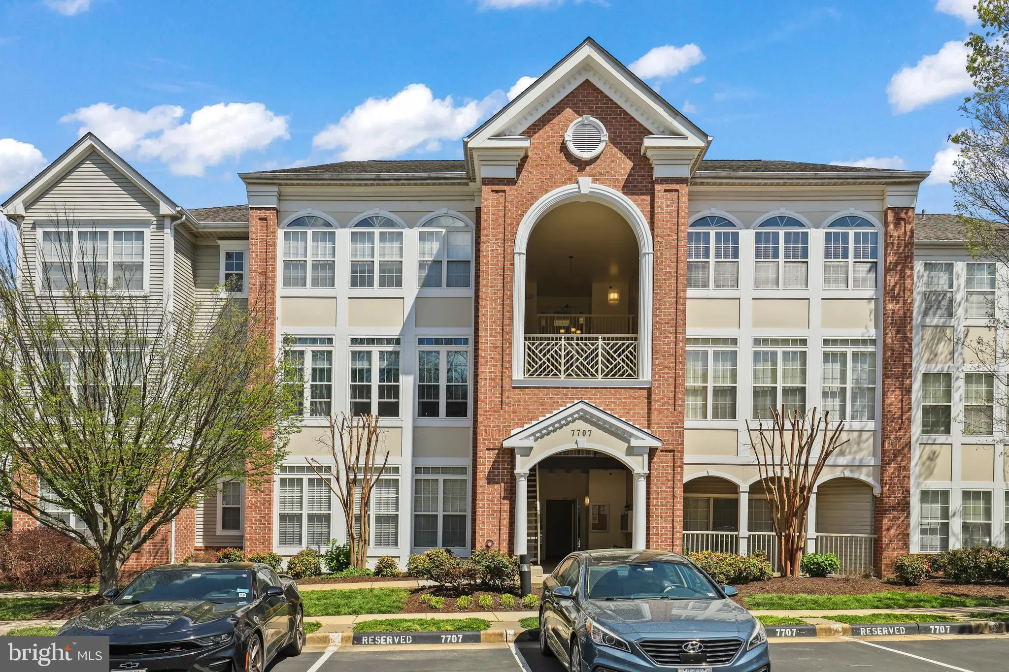 4263189083.jpeg?format=webp