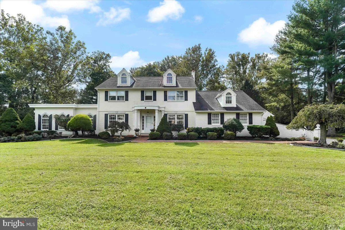 3241156781.jpeg?format=webp