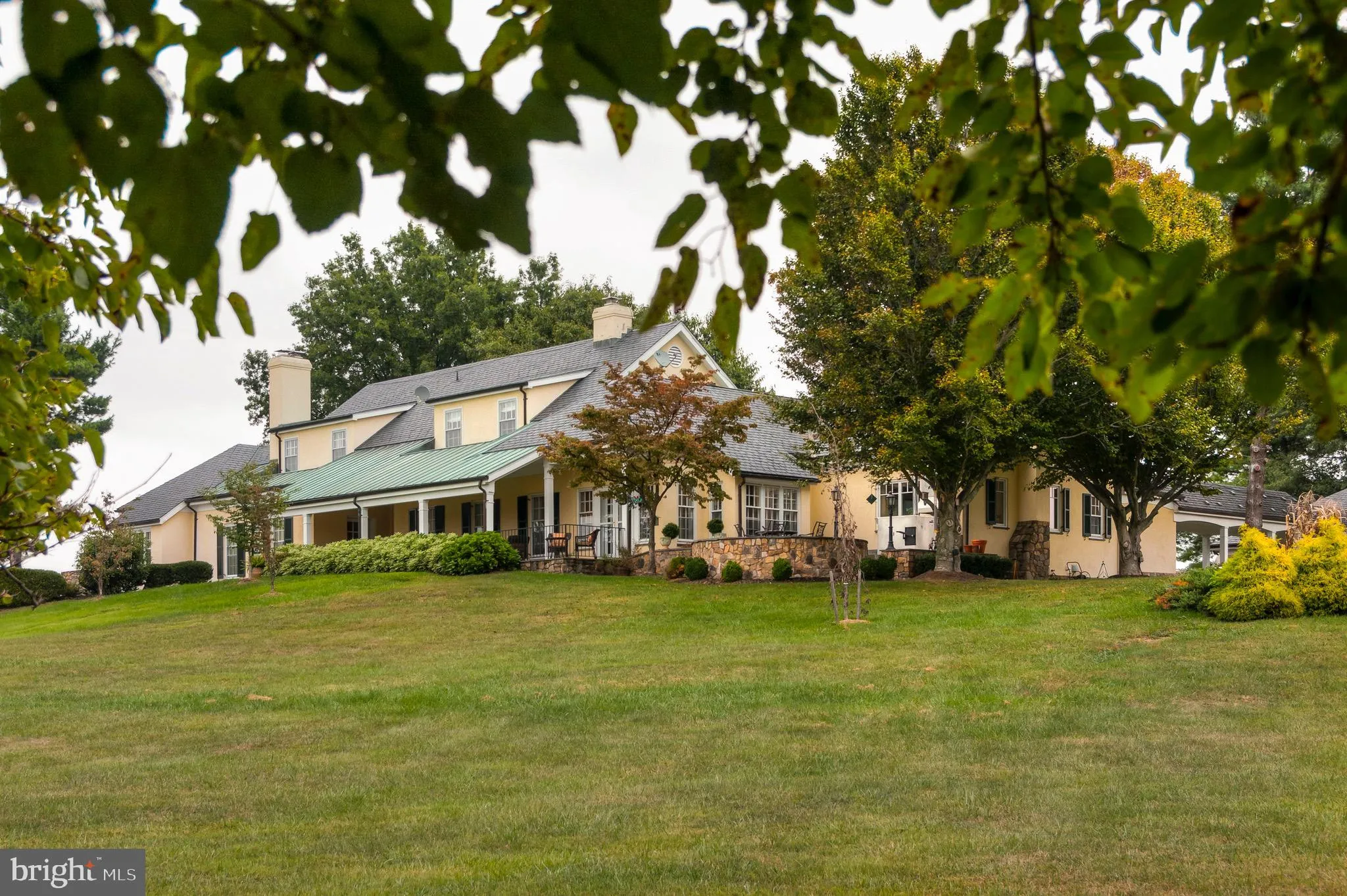 1135380979.jpeg?format=webp