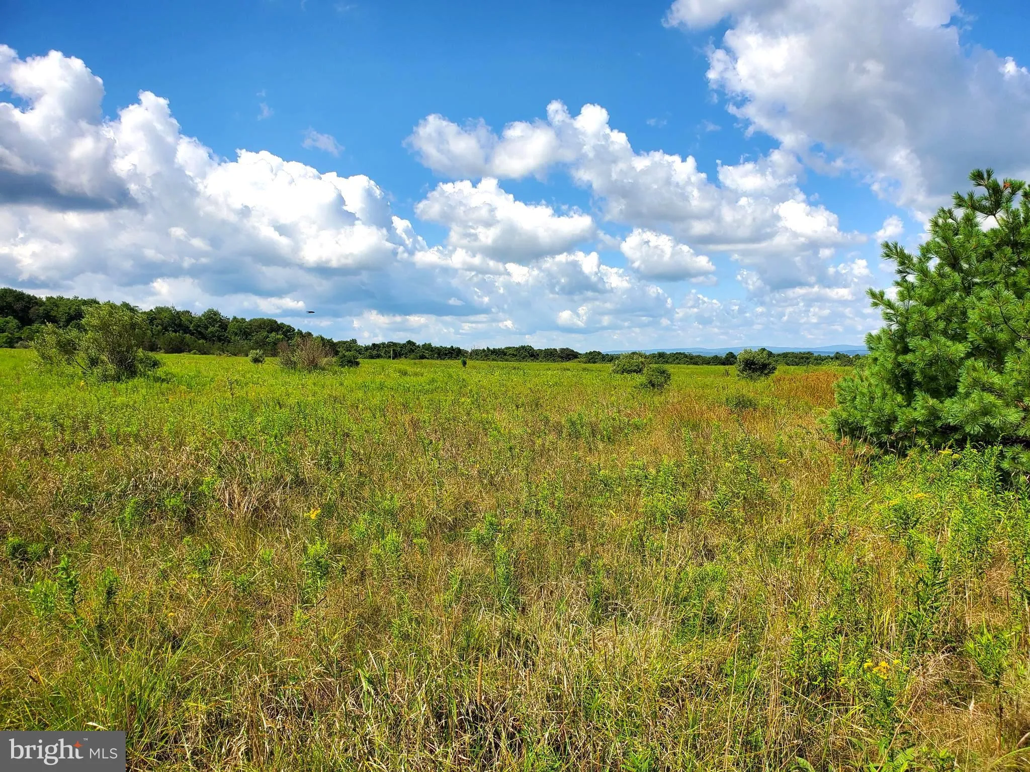 Garrett Road, Garrett, PA 15542 | PASS100744 | Nestfully