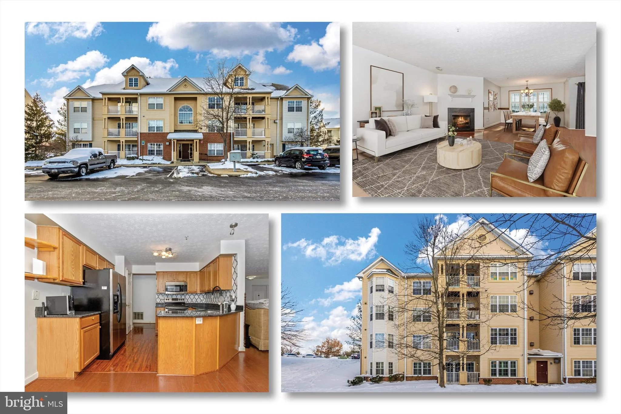 4142040338.jpeg?format=webp