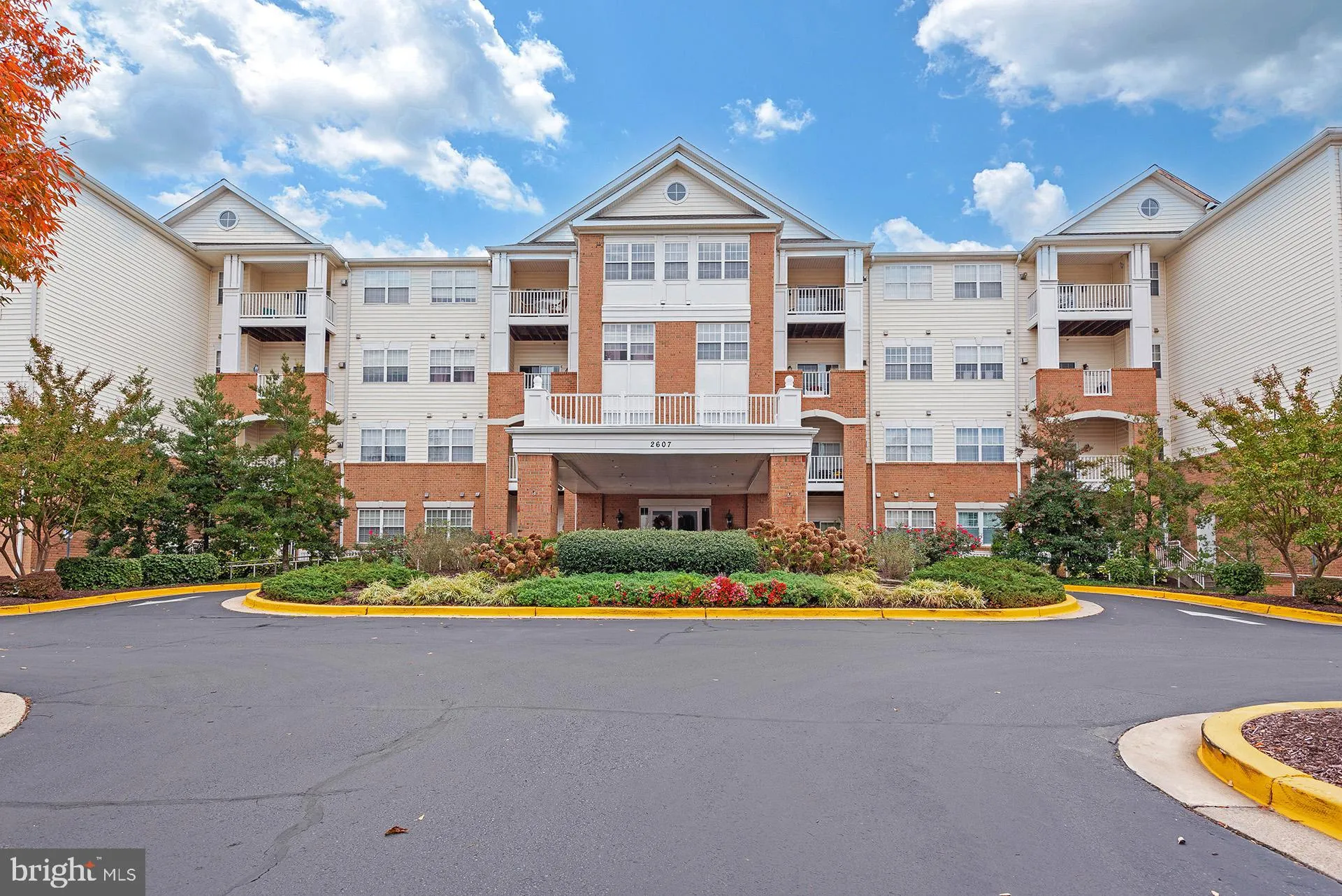 2147452421.jpeg?format=webp