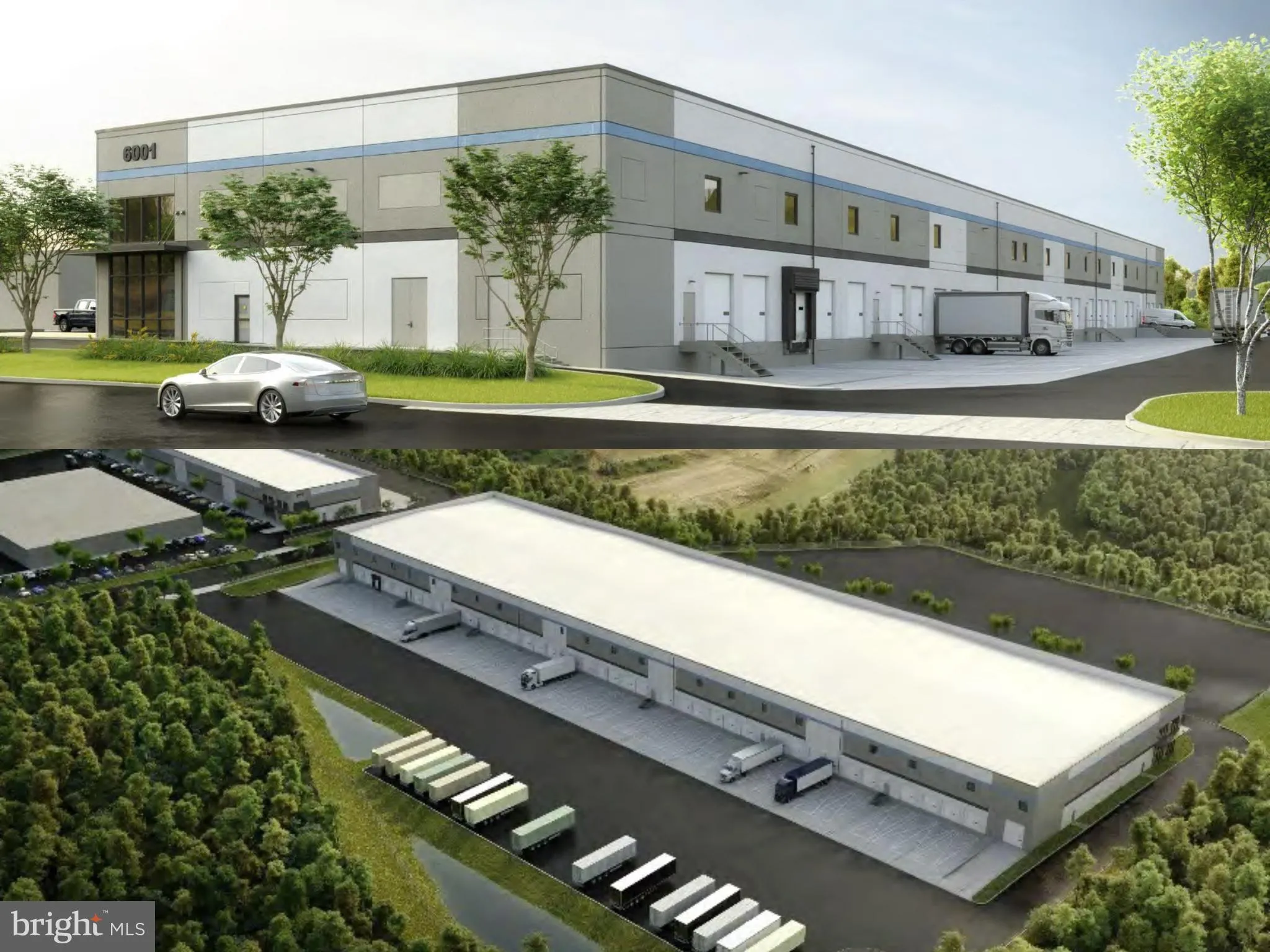 4037311153.jpeg?format=webp