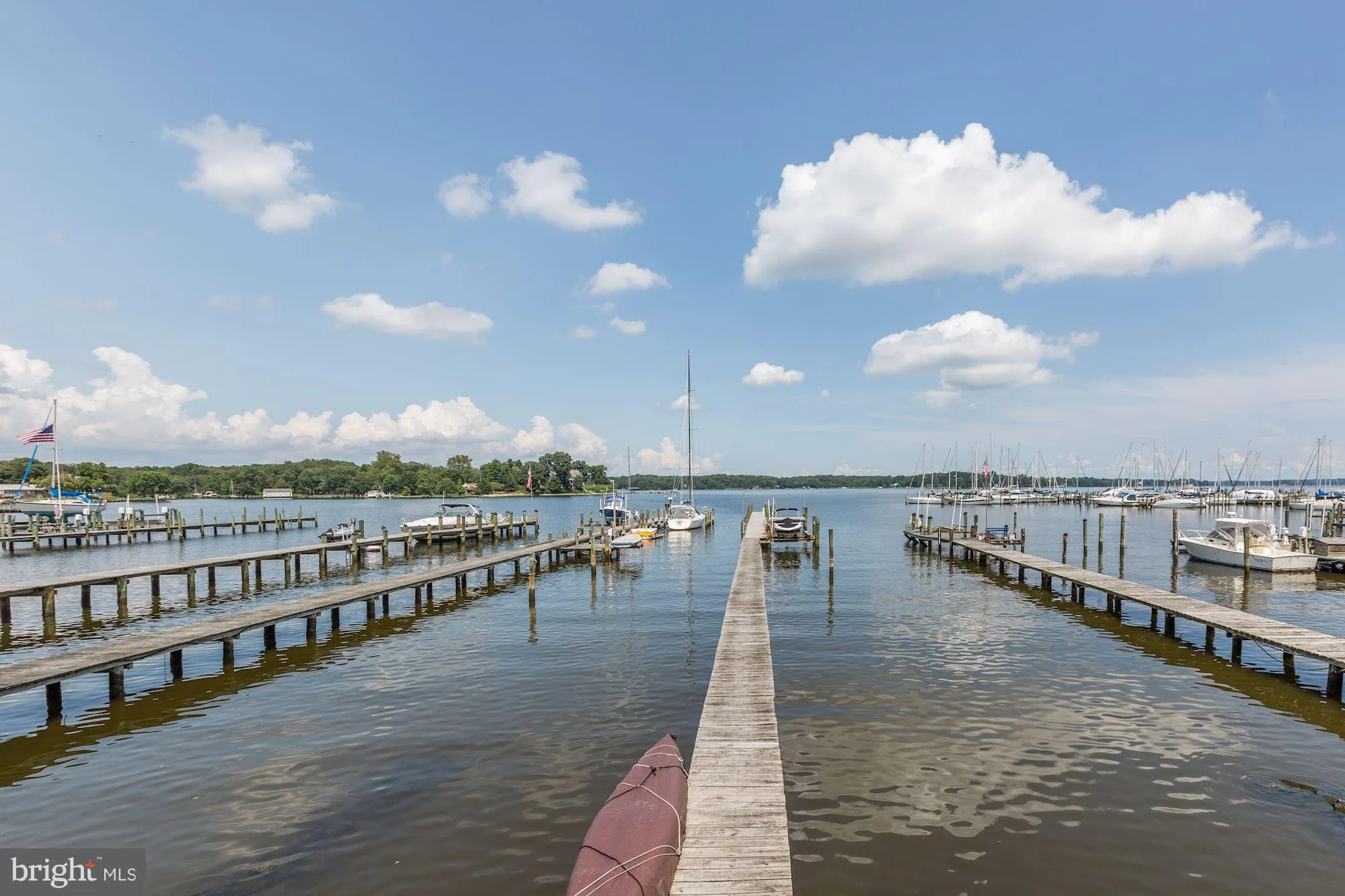 406588541.jpeg?format=webp