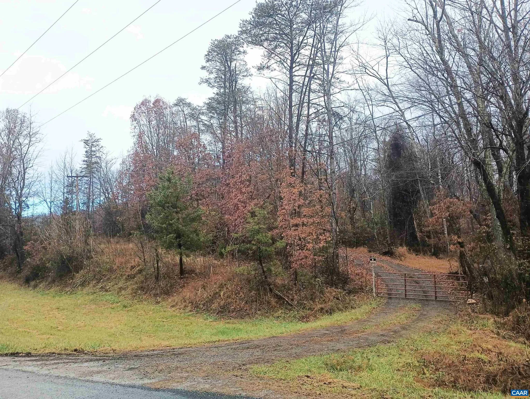 15 Deer Run Ln, Shipman, VA 22971 | 671472 | Nestfully