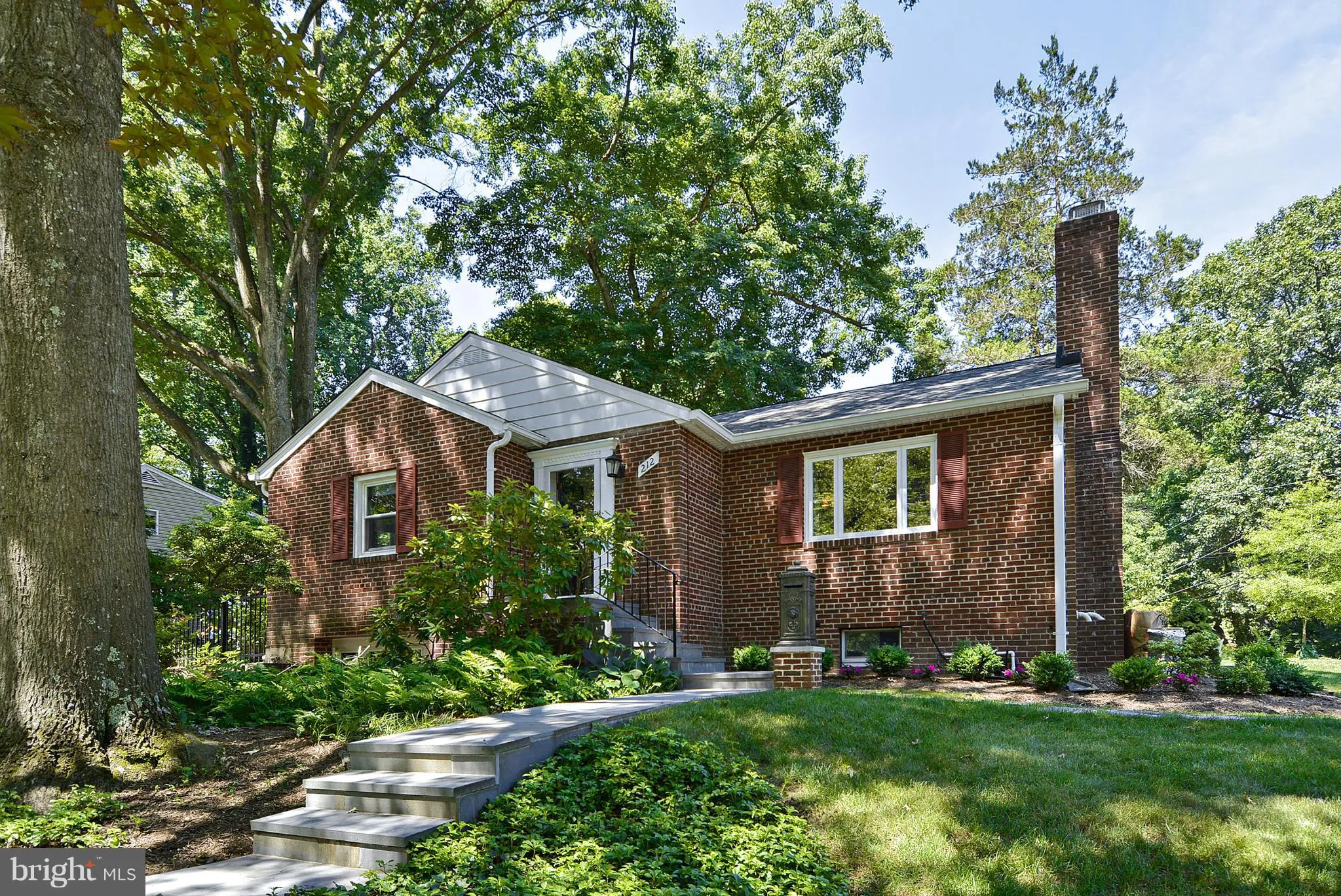 3180657811.jpeg?format=webp