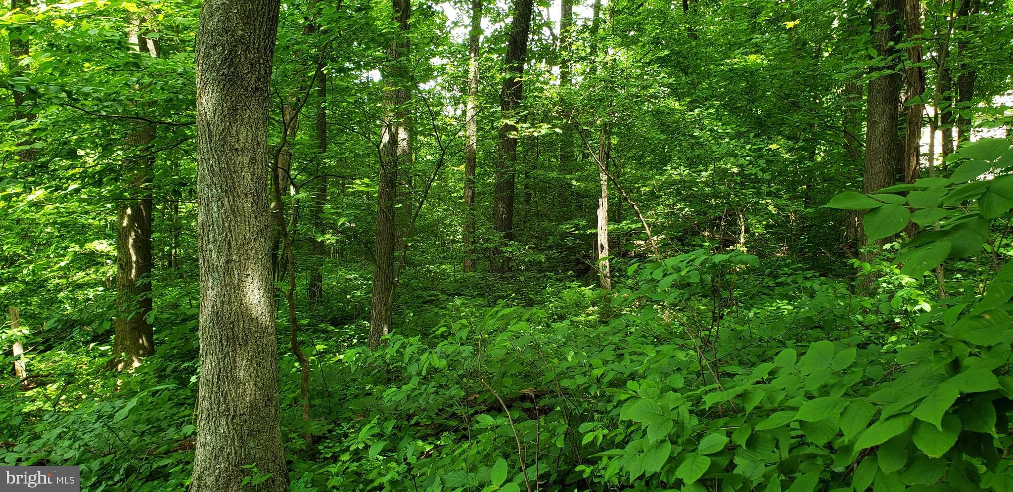 Apache Trail, Chester Gap, VA 22623 | VARP2000014 | Nestfully