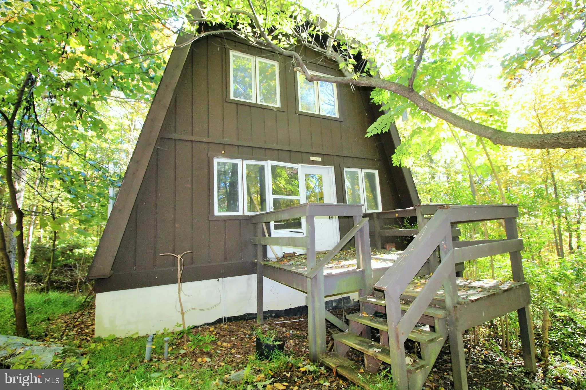 2914754897.jpeg?format=webp