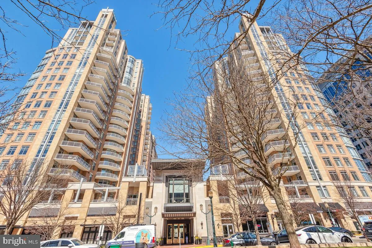 3653762804.jpeg?format=webp