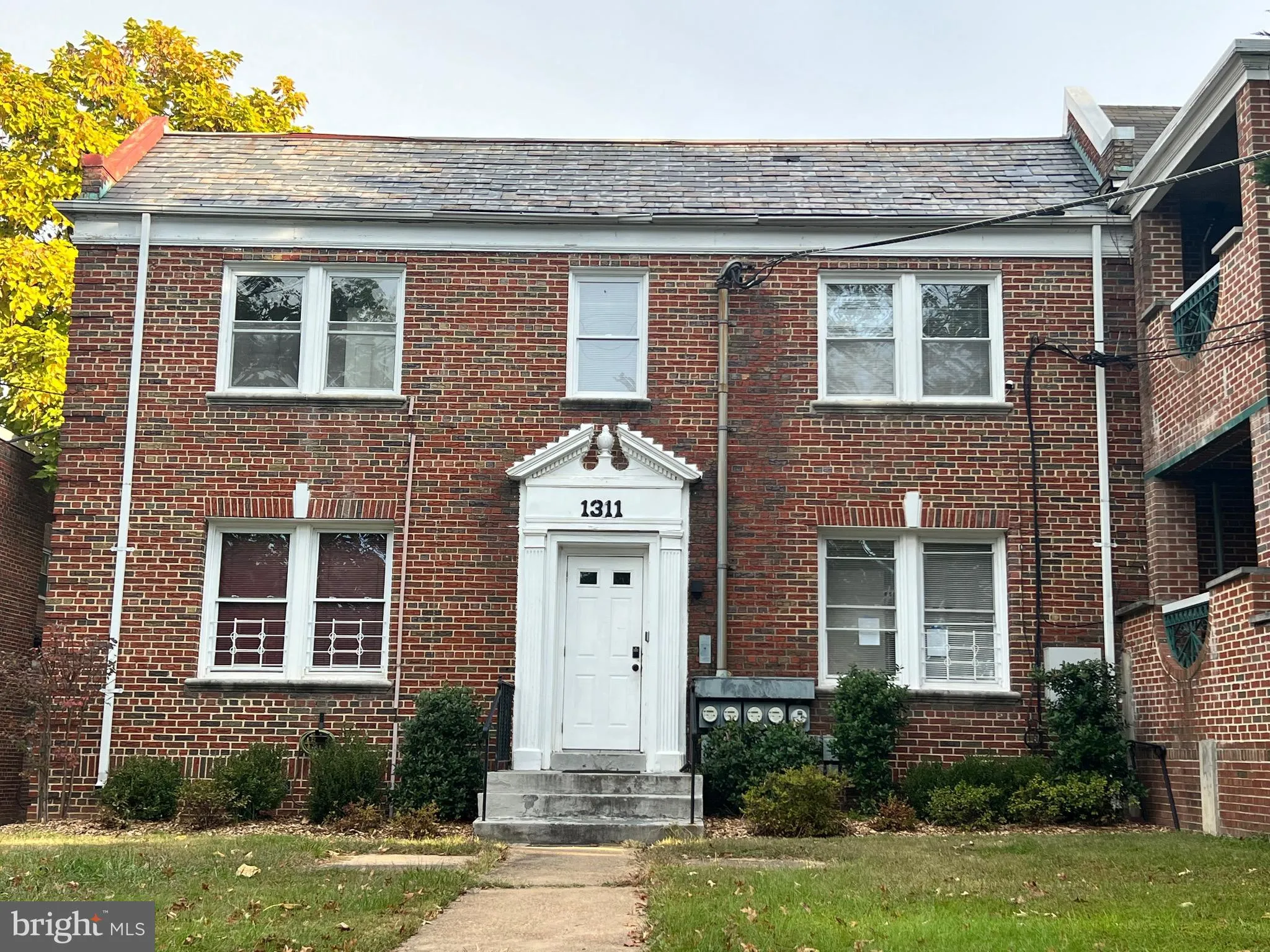 665533240.jpeg?format=webp