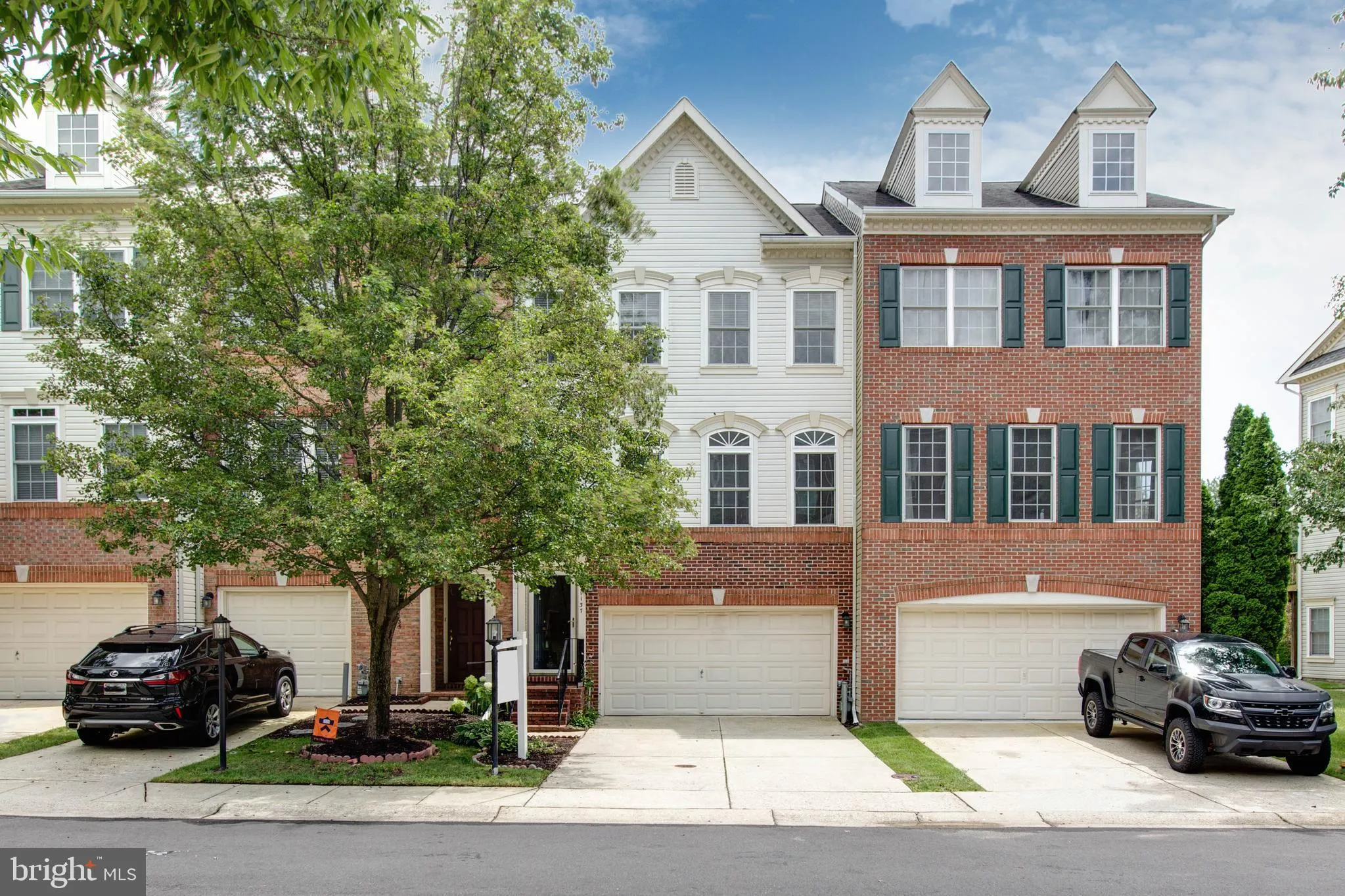 3315689884.jpeg?format=webp