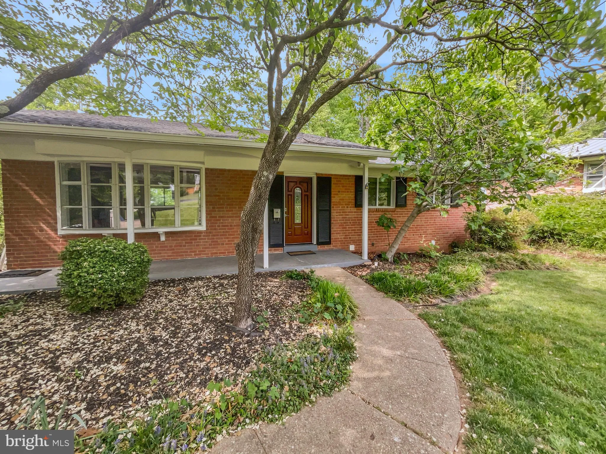 2341207315.jpeg?format=webp