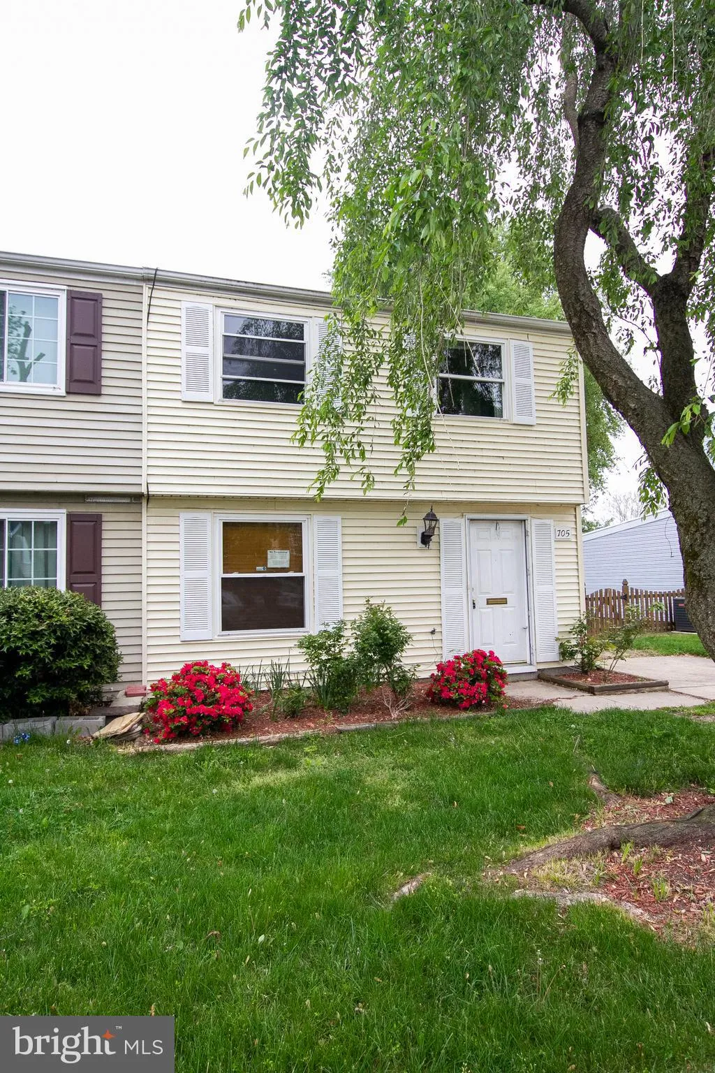 3870339203.jpeg?format=webp