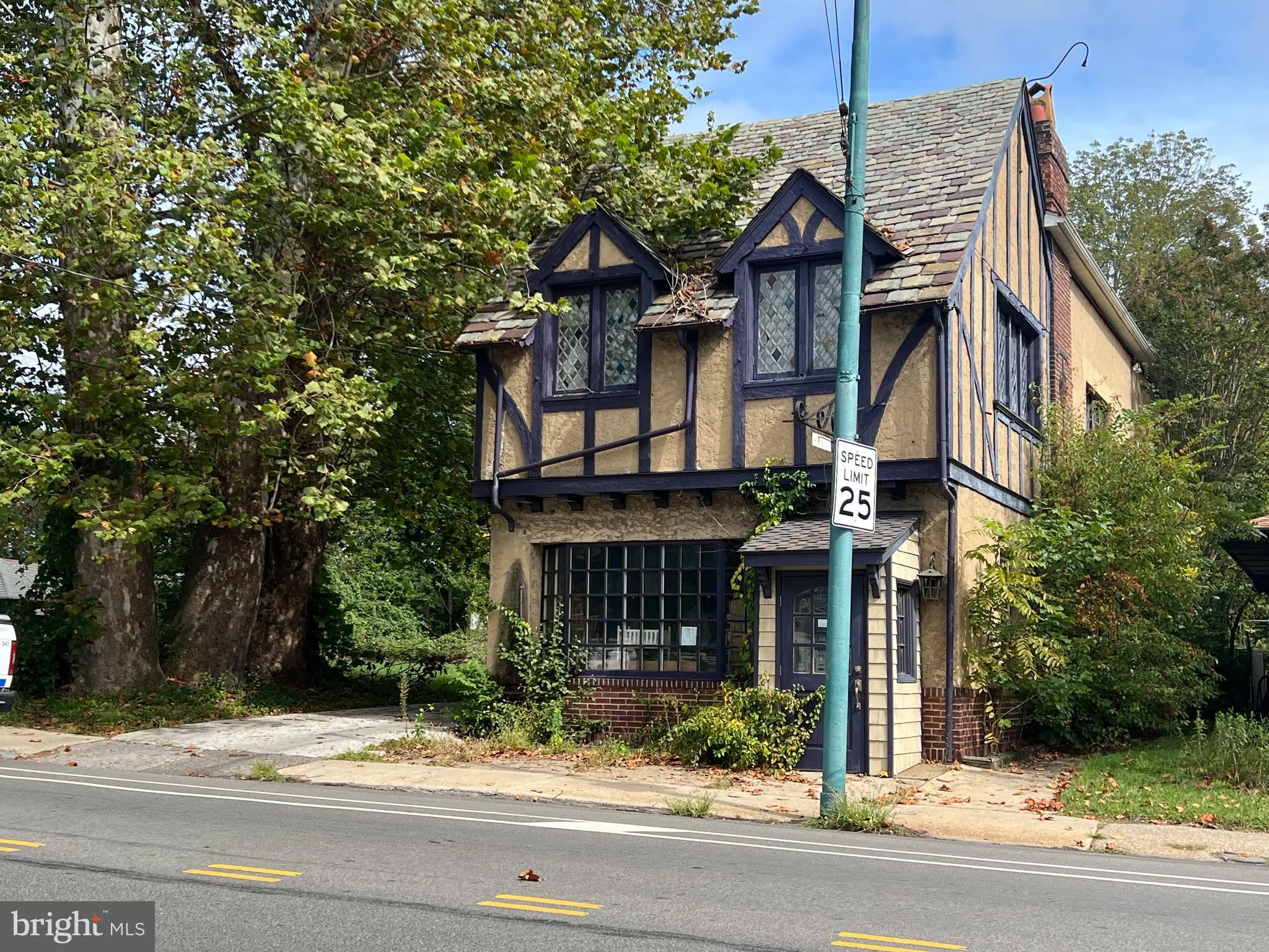 1001607503.jpeg?format=webp