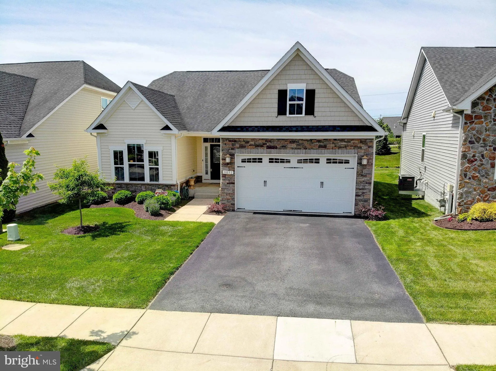 1250038406.jpeg?format=webp