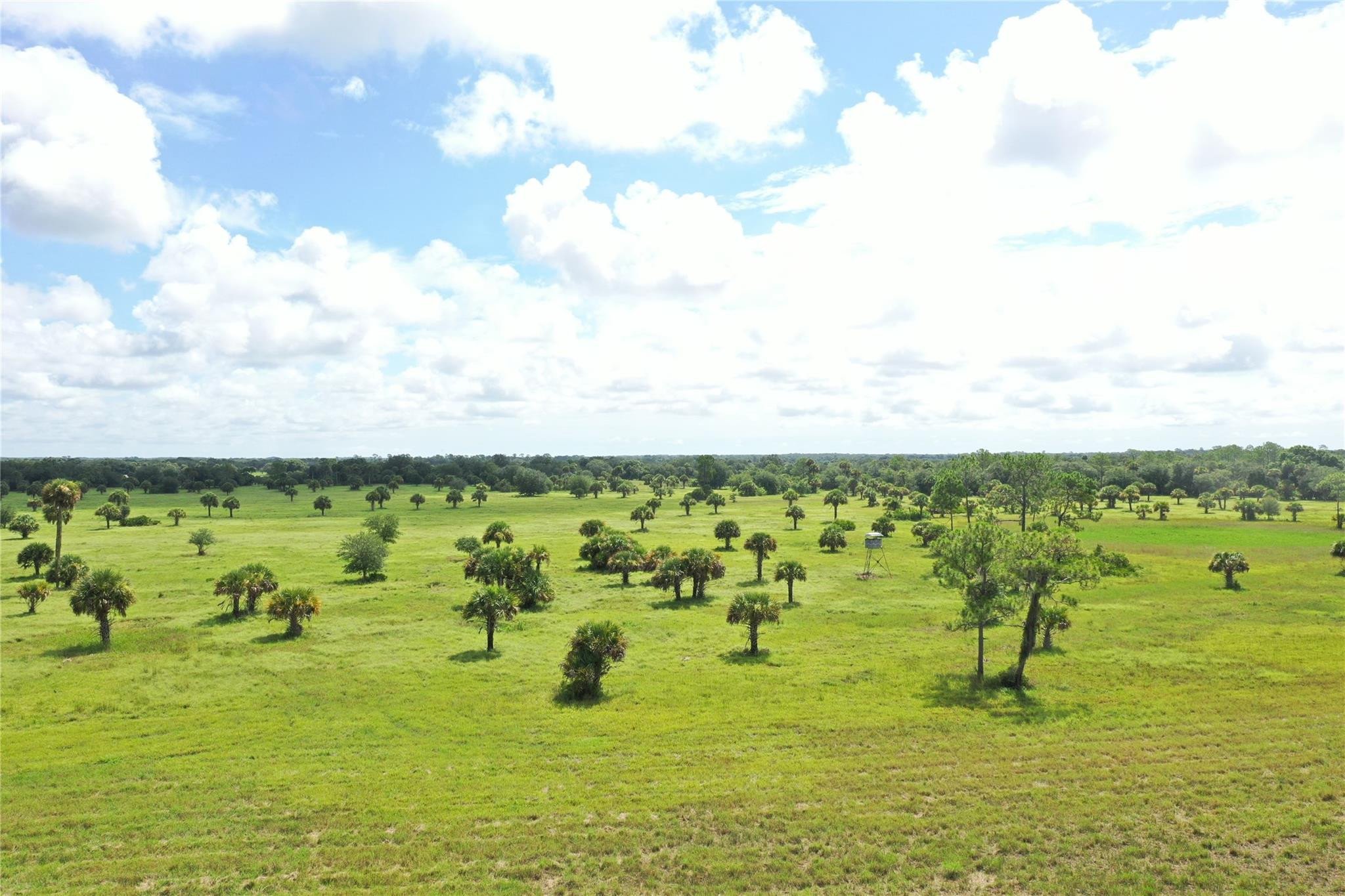 Clewiston, FL Homes For Sale & Real Estate | REMAX
