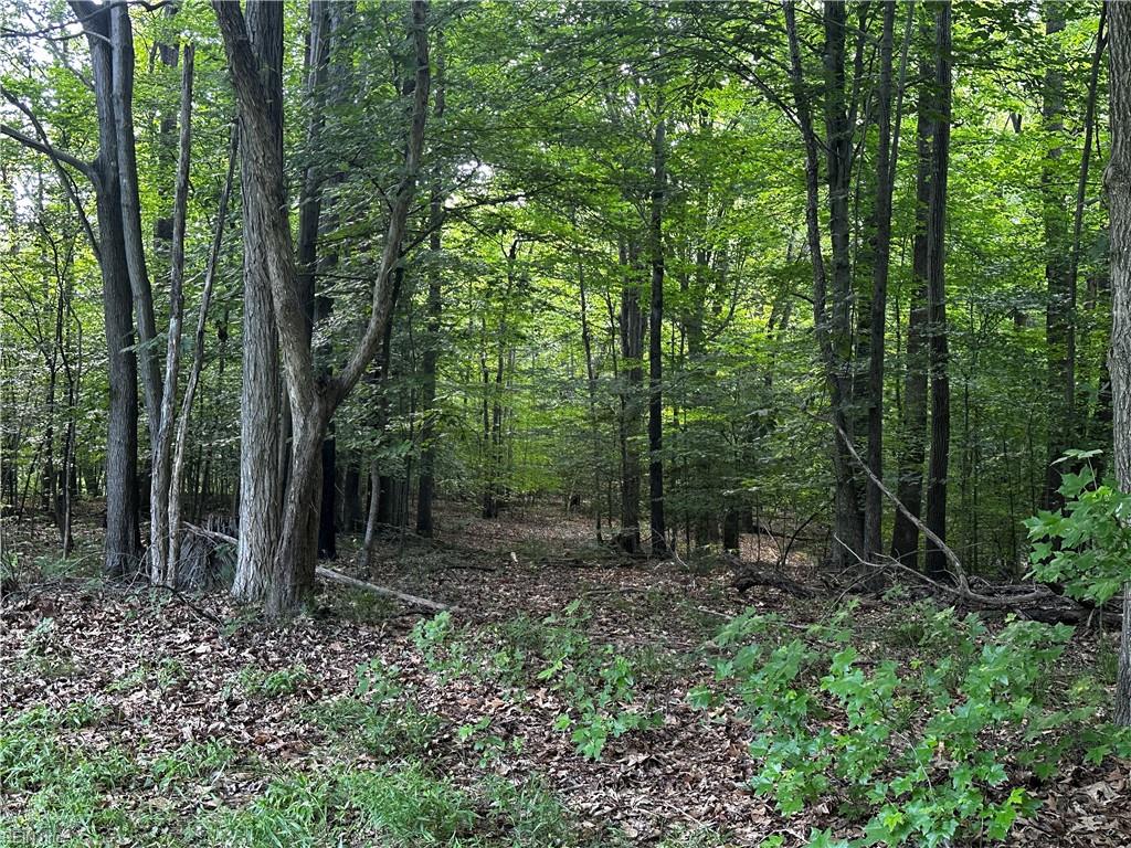 145 Sloop Point Road, Spring Grove, VA 23881 | MLS 10539823 | Listing ...