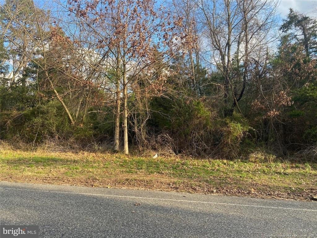 26.5 Acres McIntyre Land, Fayetteville, NC 28301, MLS #LP737519 - Allen ...