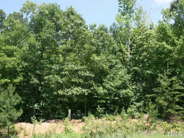 3916200213.jpeg?format=webp