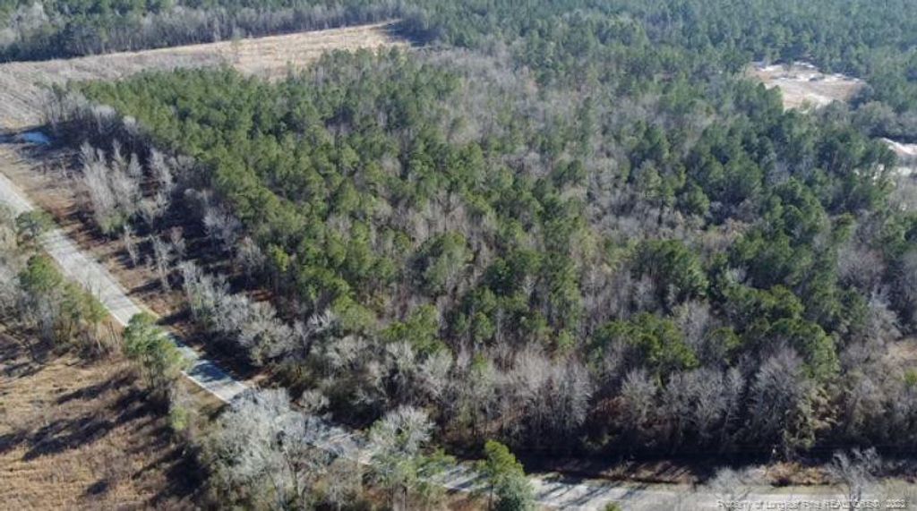 Gum Spring Road, White Oak, NC 28399, MLS #LP699293 - Howard Hanna