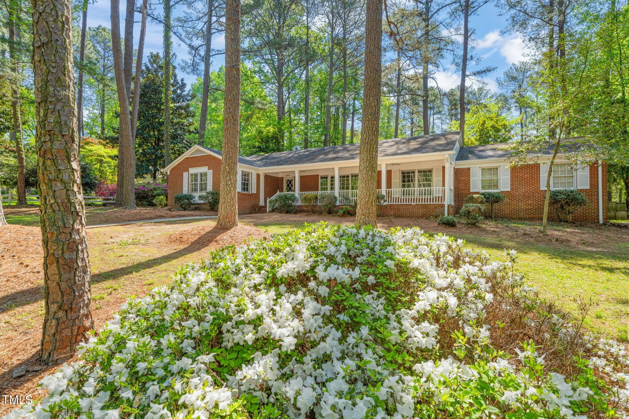 3680108568.jpeg?format=webp