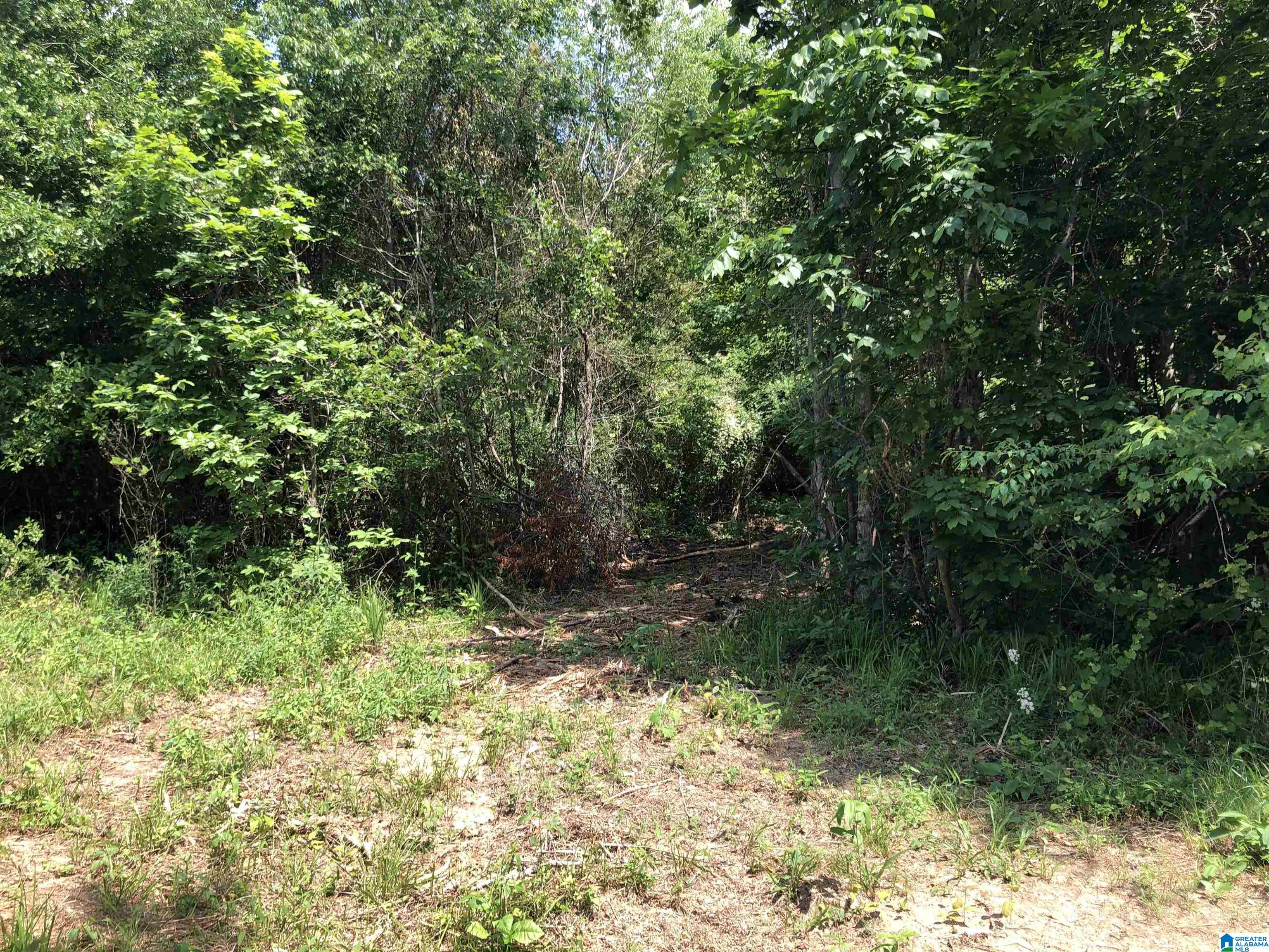 Peeks Hill Road, Ohatchee, AL 36271 | MLS 1320592 | Listing Information ...