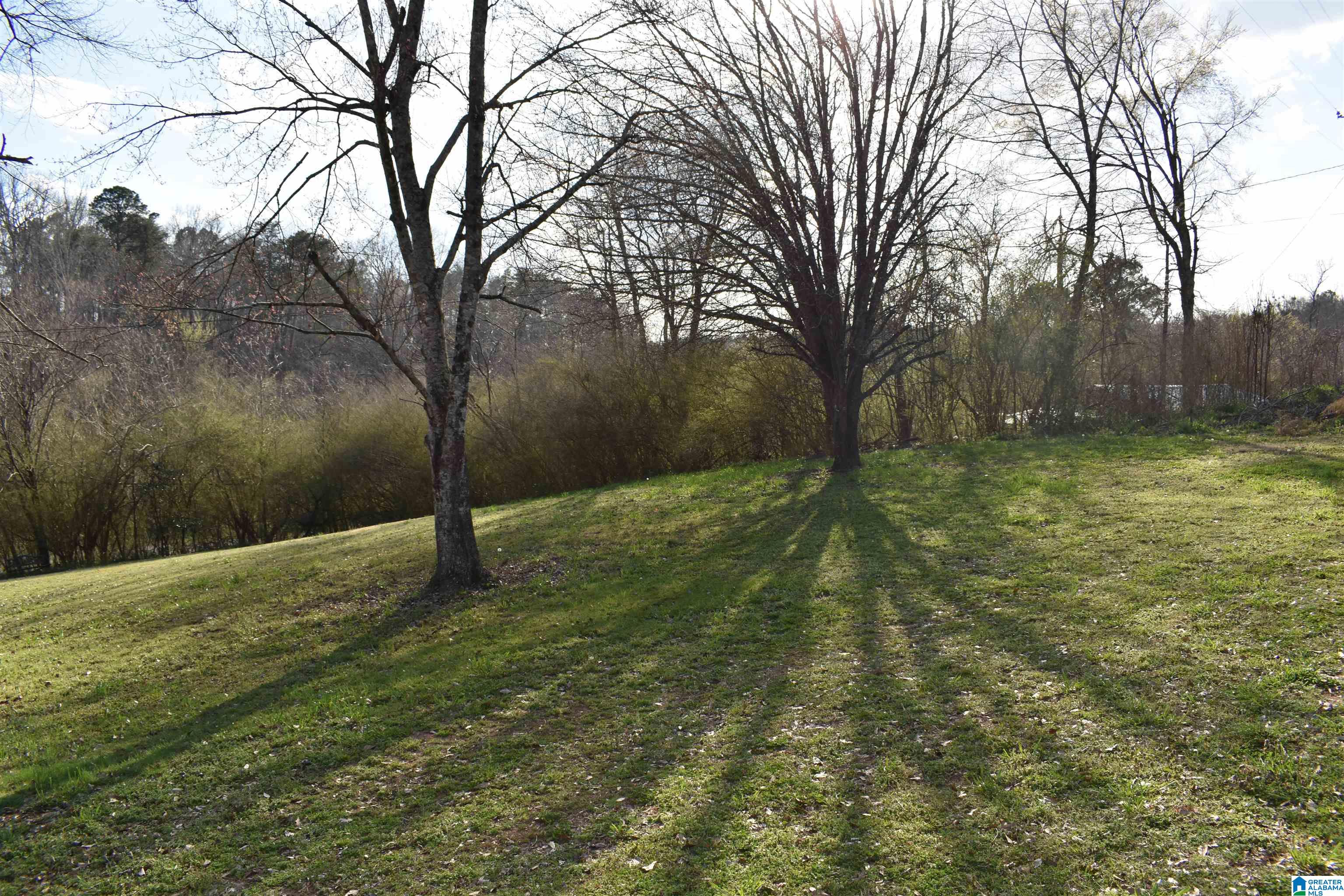 1470 Old Highway 25, Columbiana, AL 35051 | MLS 1313153 | Listing ...